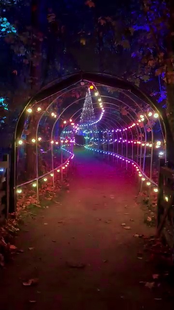 Springfields Winter Wonderland Walk 2024