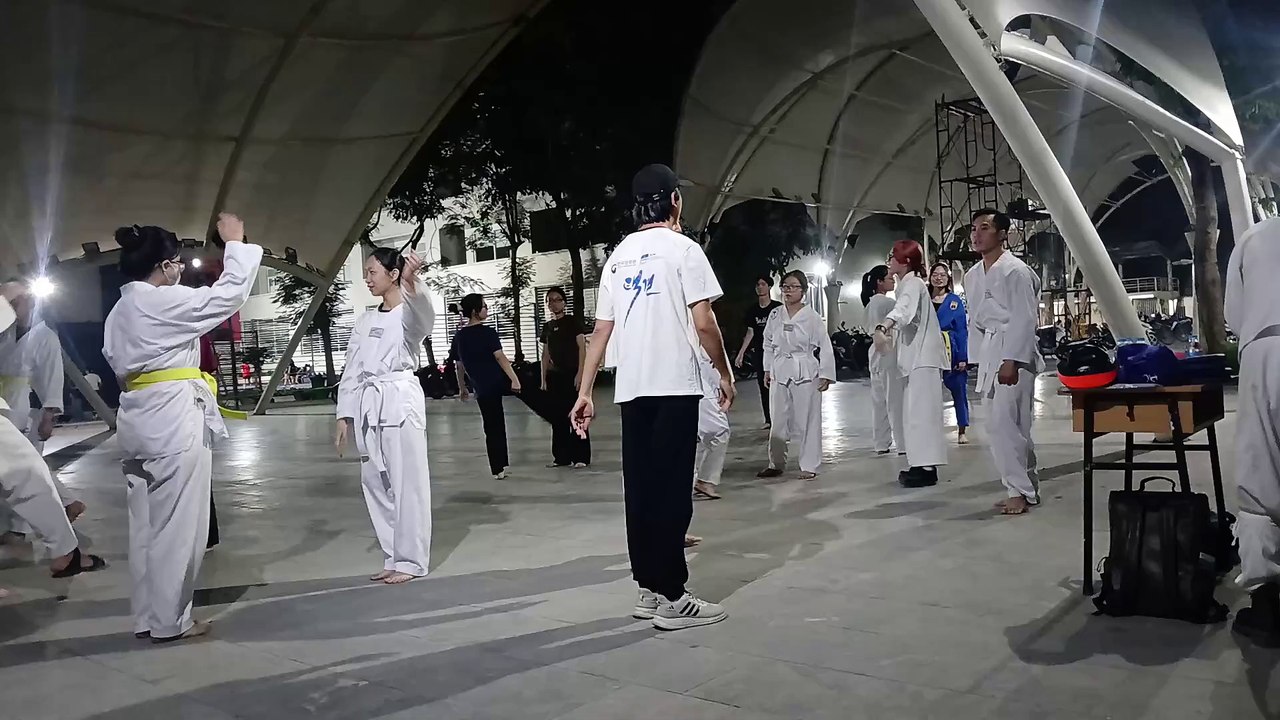 Taekwondo, tkd 20241107_191758 - Video Dailymotion