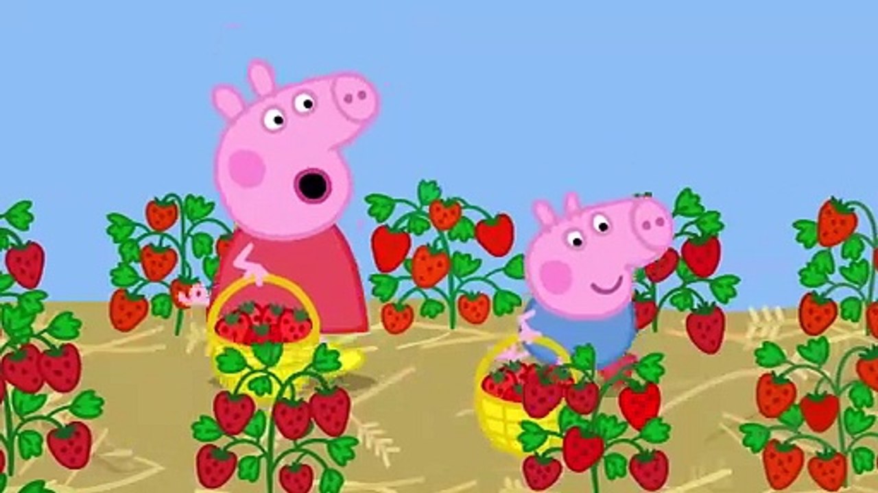 Peppa Pig Picks Strawberries! - video Dailymotion