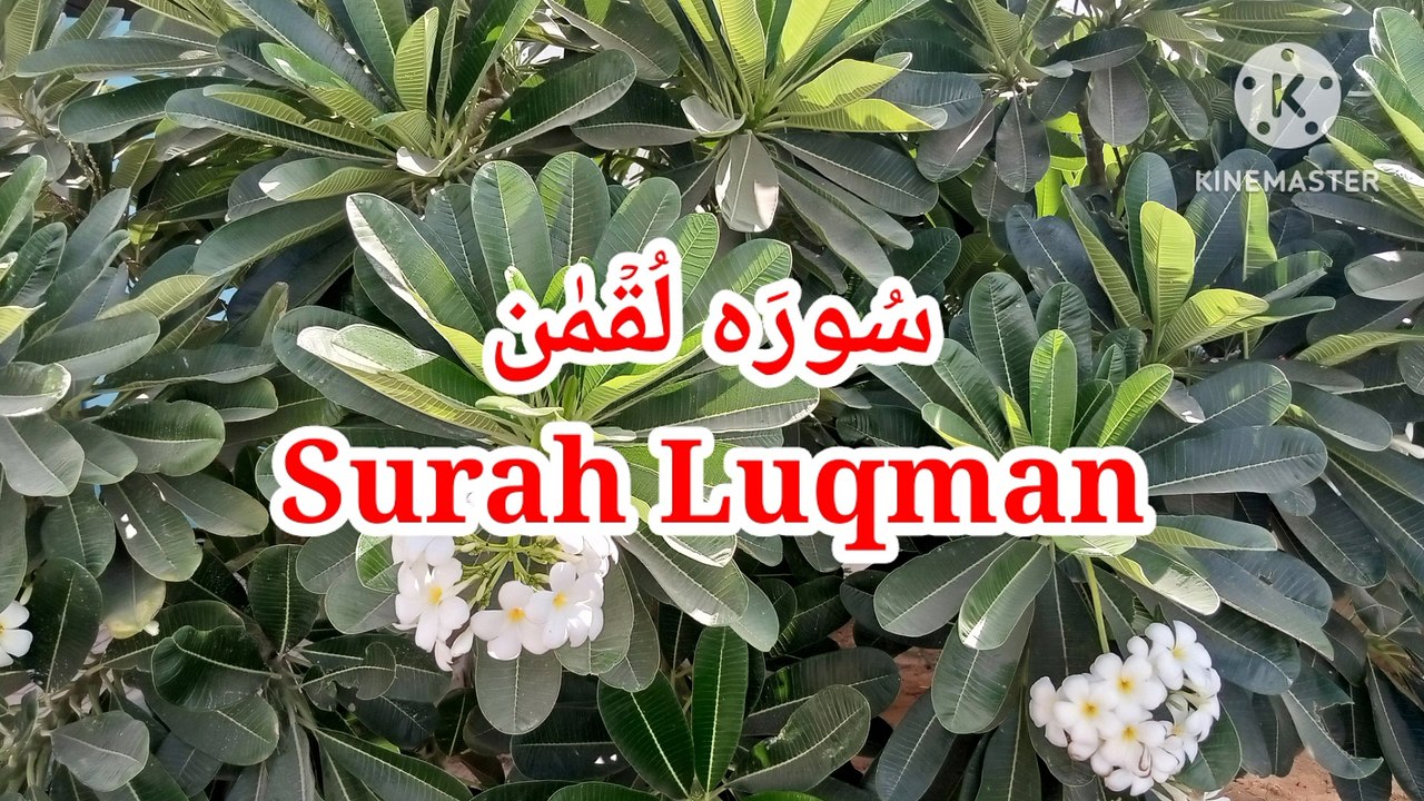 Surah Luqman - Quran recitation - Quran verses - Learn quran - - video ...