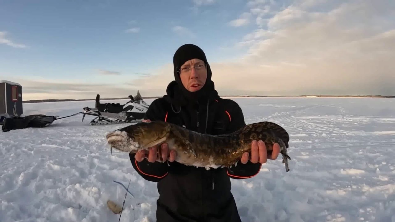 3 Days Ice Fishing in Alaska - Burbot Catch and Cook - video Dailymotion