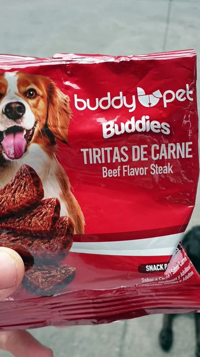 Tobi Gets a Snack and Barks at a Car 🐕🇨🇱 - video Dailymotion