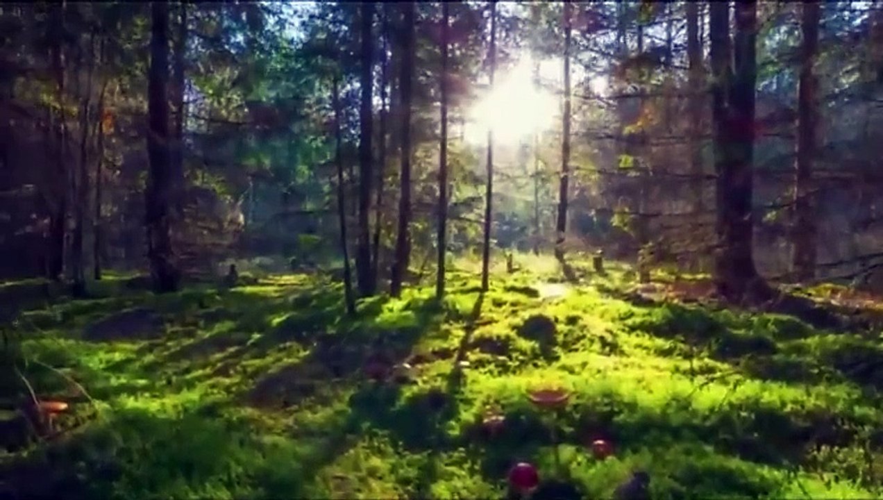 The Explanation of Loosh Energy & The Reincarnation Trap Theory - video ...