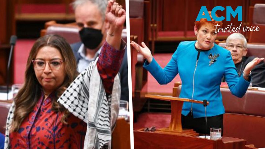 'Hope you can hang your heads in shame', Senator calls out 'angry ...