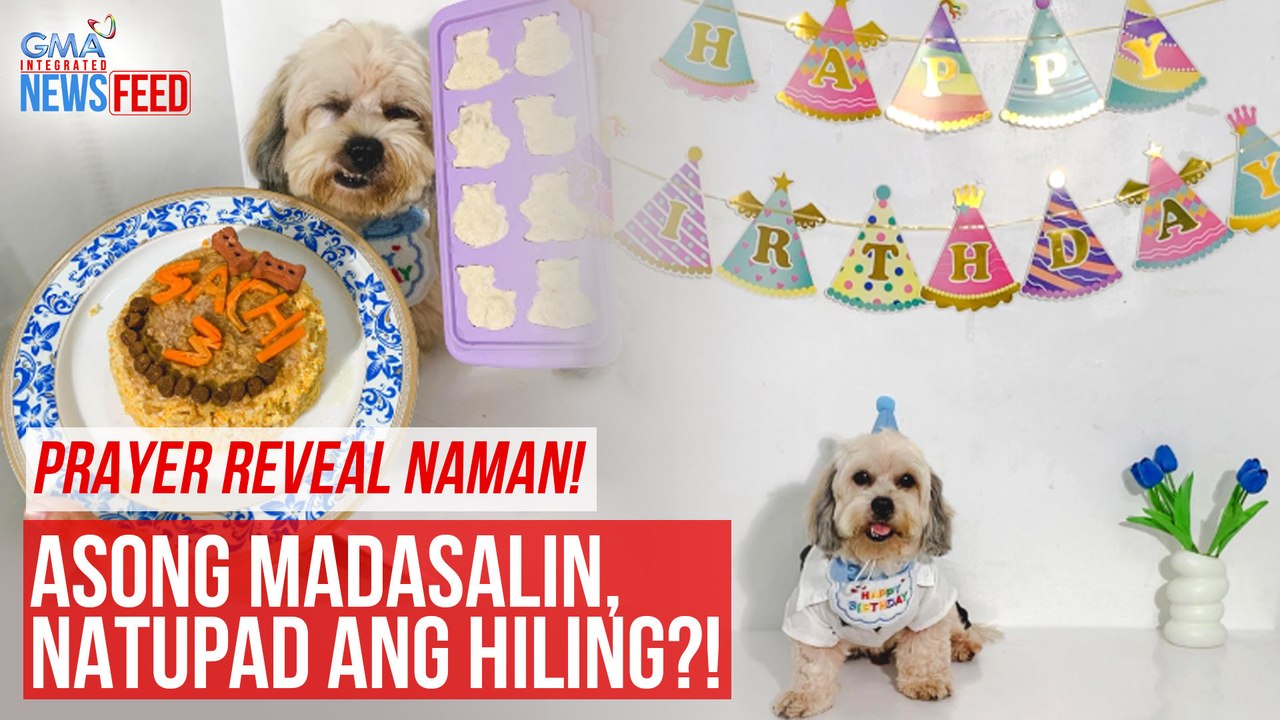 PRAYER REVEAL NAMAN! Asong madasalin, natupad ang hiling?! | GMA ...