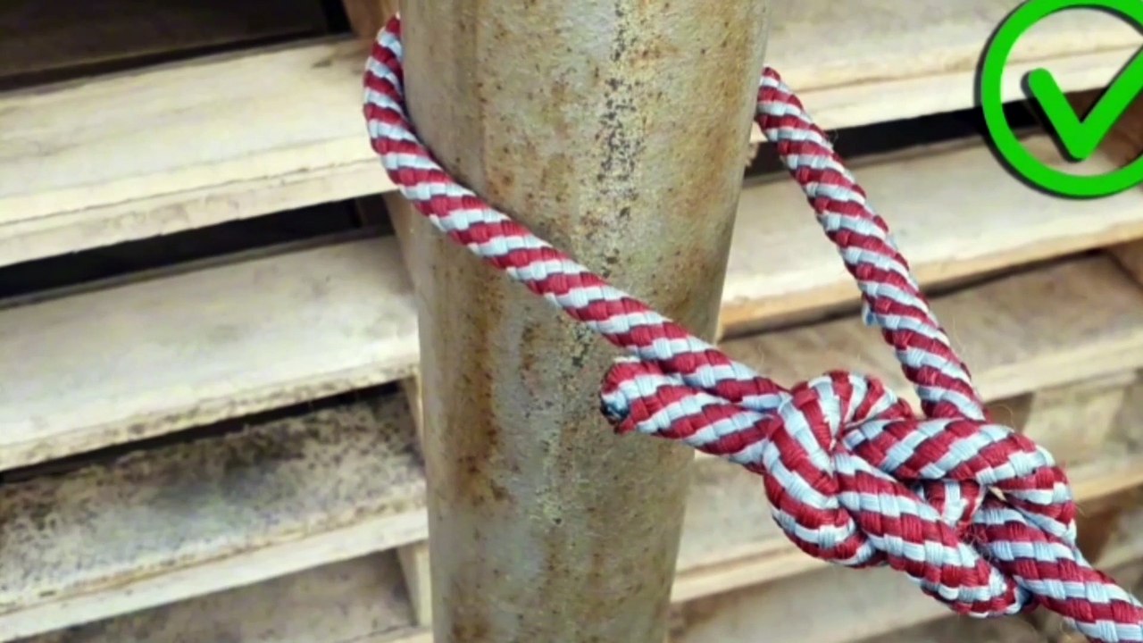 How to tie | Amazing knot trick | Magic Knots - video Dailymotion