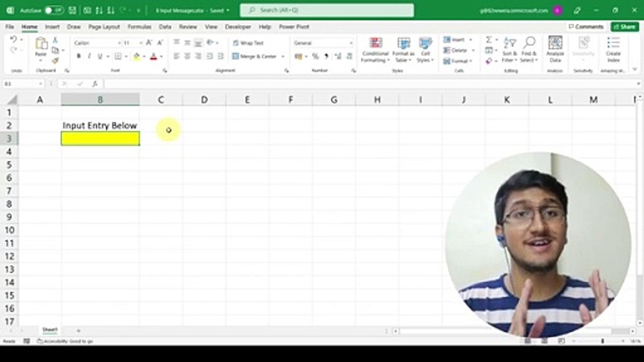 Add Input Box In MS Excel - Jatan Shah Course Review - video Dailymotion