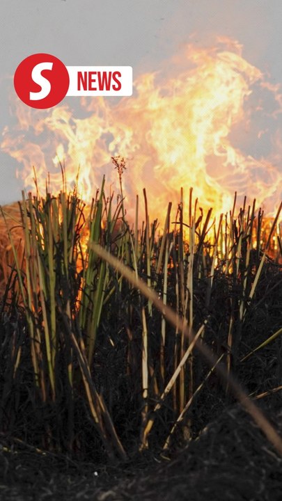 Farm fires raging in neighbouring Punjab as Delhi chokes on smog ...