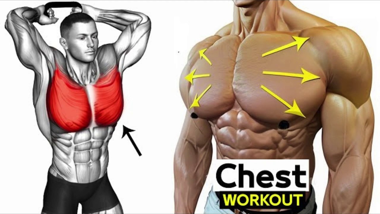 Best Super Easy Upper Chest Exercises For Defined & Strong Pecs - video ...