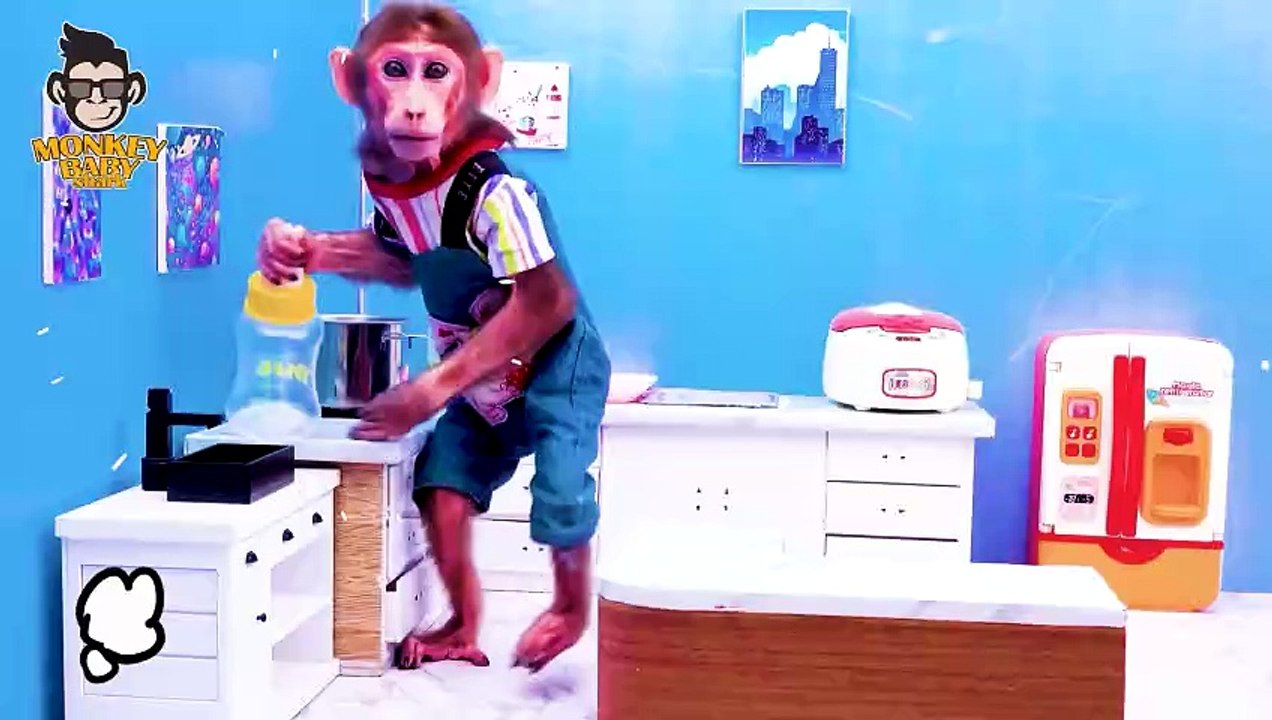 Monkey coco - video Dailymotion