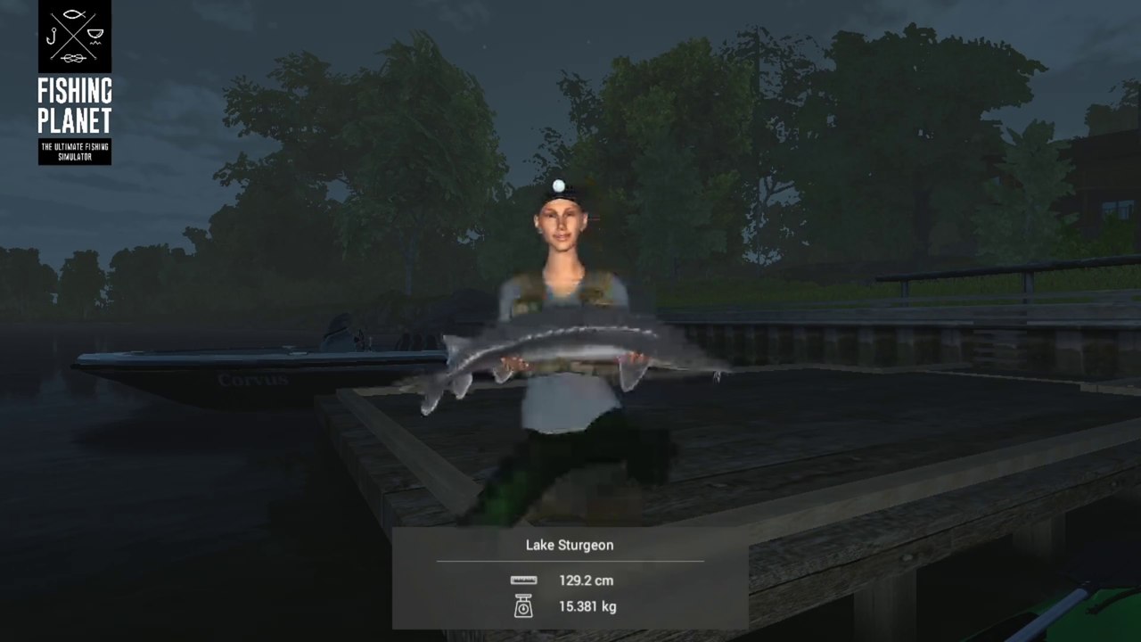 How to catch Lake Sturgeon at St.Croix | Fishing Planet - video Dailymotion