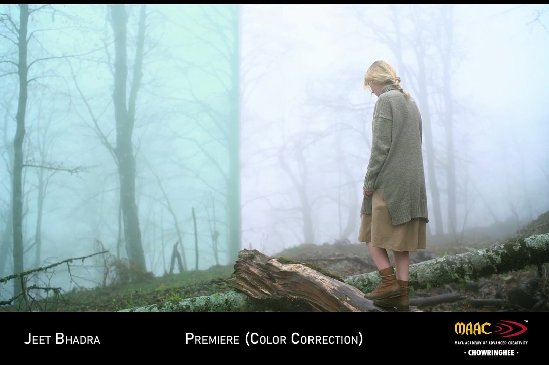 Adobe Premiere Pro Color Correction | MAAC Chowringhee - video Dailymotion