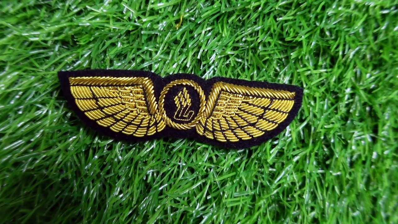 Airline Pilot Trainee Captain Wing Gold Bullion Patch Badge, Wholesale ...