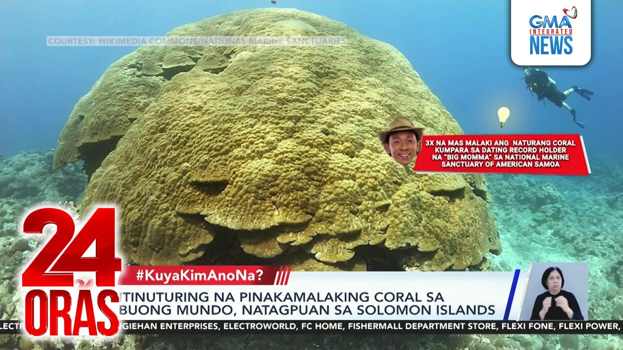 #KuyaKimAnoNa? - Itinuturing na pinakamalaking coral sa buong mundo ...