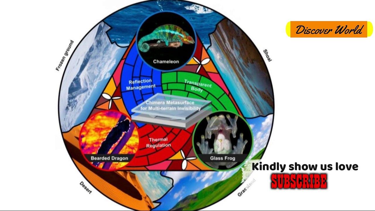 China's Revolutionary Invisibility Suit A Game Changer in Military Tech ...