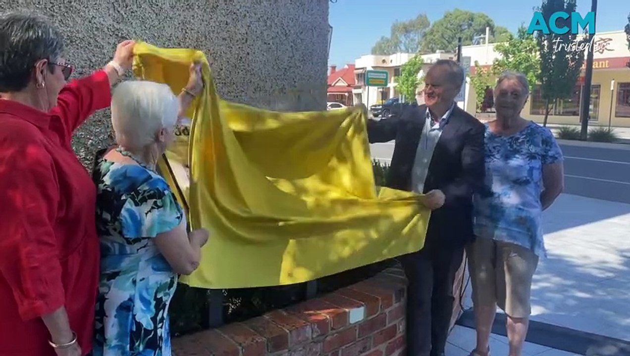 Wodonga water tower centenary | The Border Mail | December 4, 2024 ...