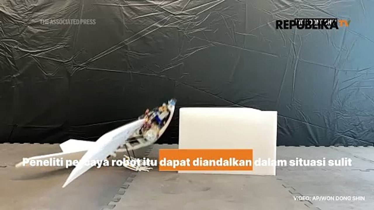 Terinspirasi Burung, Robot ini Mampu Jangkau Wilayah Terpencil dengan ...