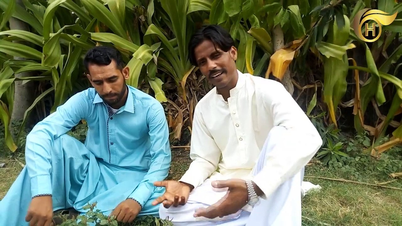 Dard Bare Mahiye | Singer Asad Ali Hazara & Zaheer Awan | Latest Hindko ...