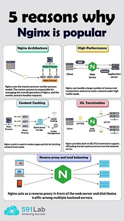 Why Is Nginx So Popular? 5 Facts You Need to Know - video Dailymotion