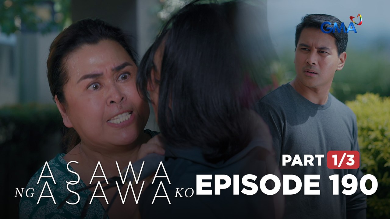 Asawa Ng Asawa Ko: Leon has a bad feeling about Ka Usa! (Episode 190 - Part 1/3) - video Dailymotion
