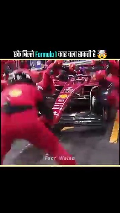 How cat drive Formula 1 🤔..._ _formula1 _shorts _facts(360P) - video ...