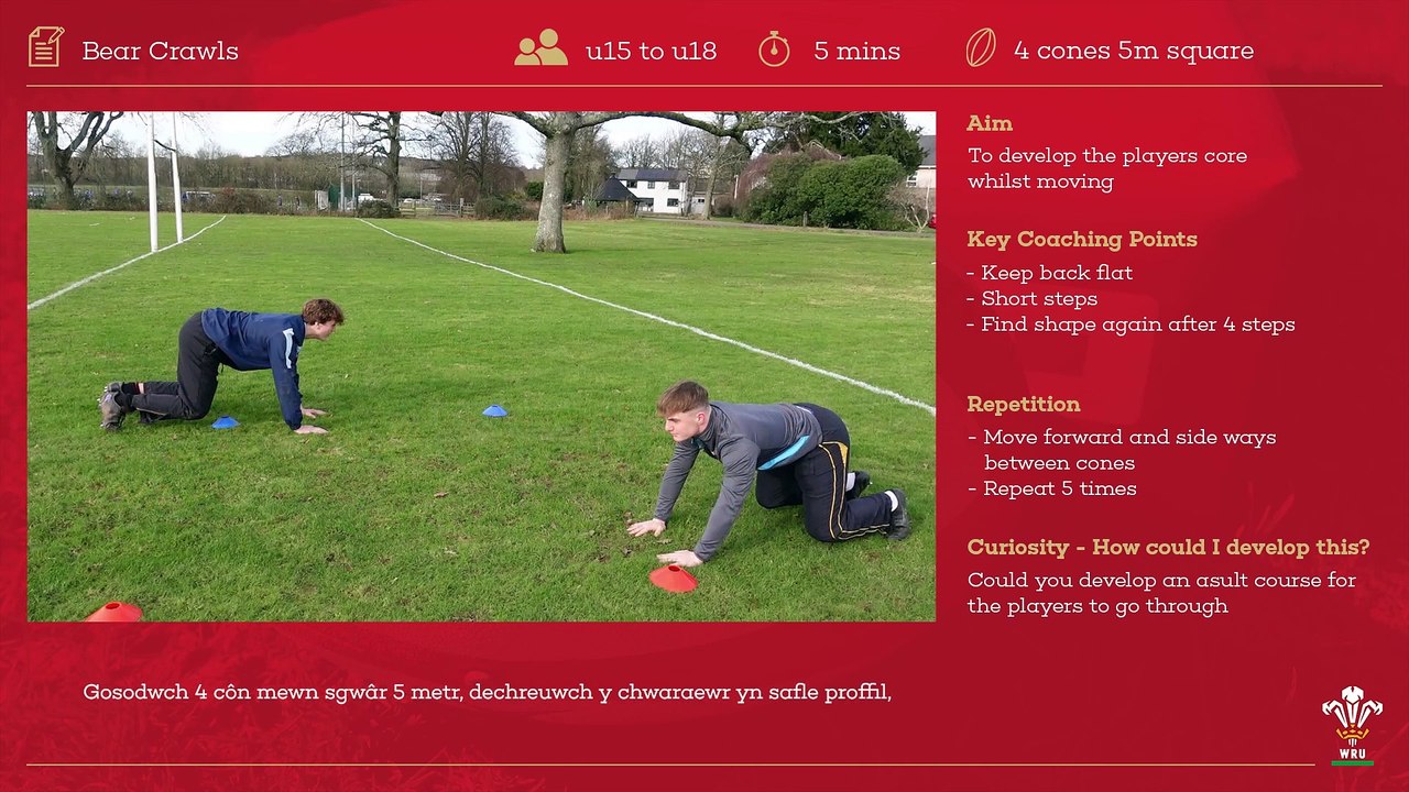 04 Bear Crawls - video Dailymotion