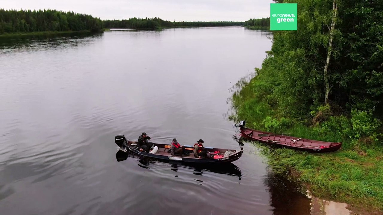 Suécia e Finlândia juntam esforços para proteger o salmão do rio Torne ...