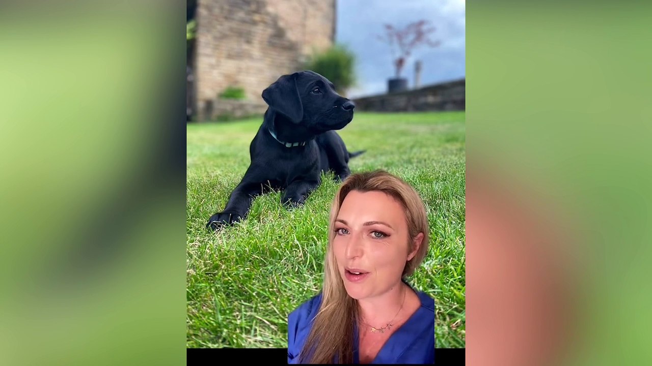 Sheffield vet Cat Henstridge has cautioned pet owners about Christmas ...