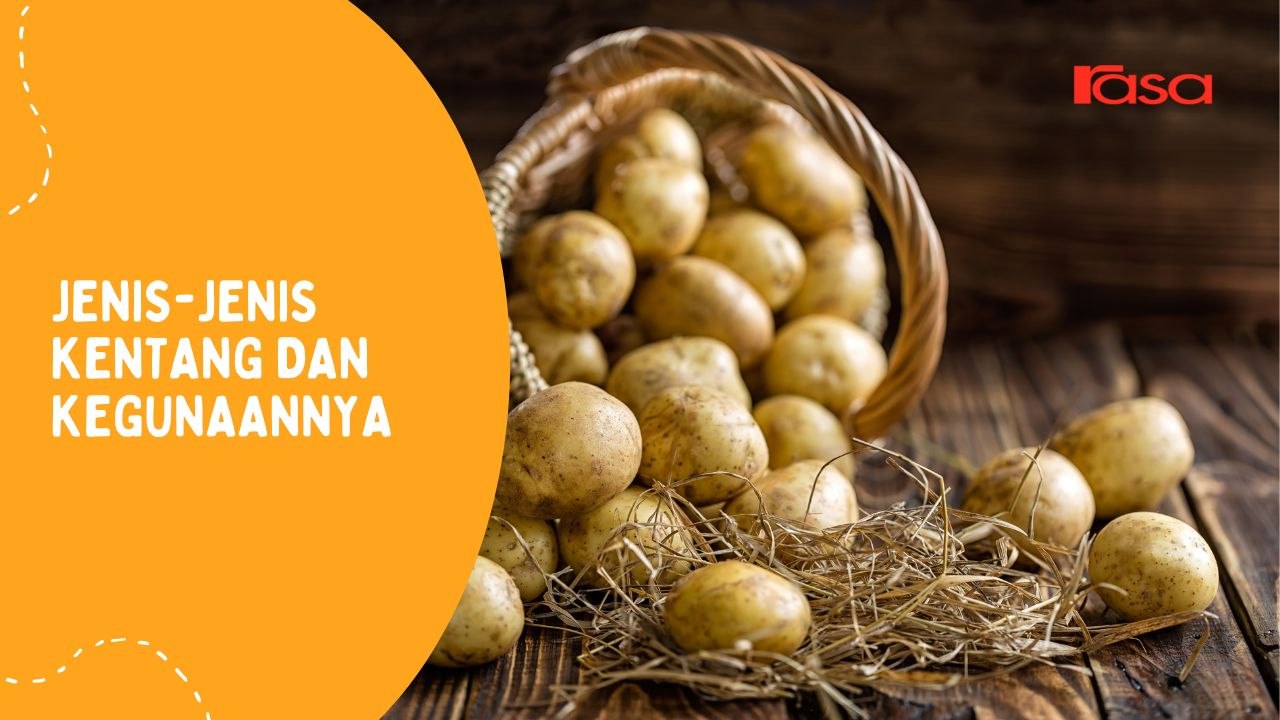 Jenis-Jenis Kentang Dan Kegunaannya - Video Dailymotion