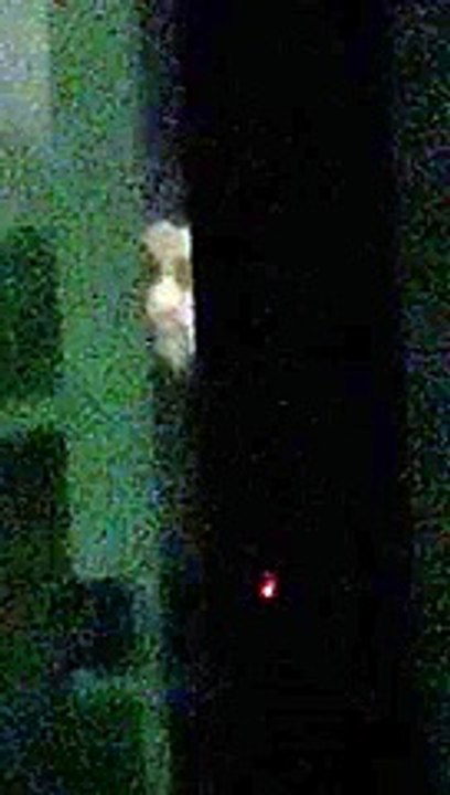 Real Horror Ghost Video 20 - video Dailymotion