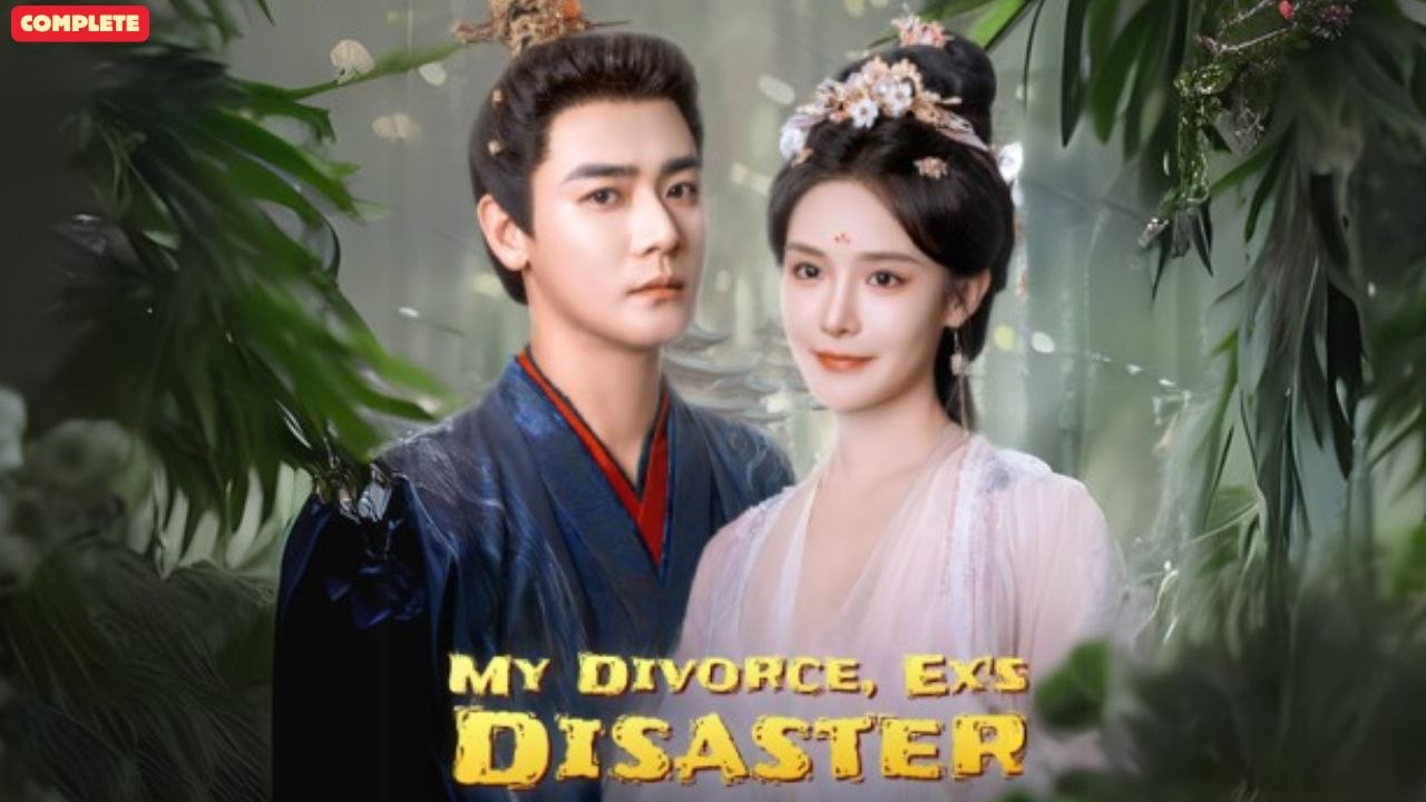 My Divorce, Ex's Disaster (Chinese Drama English Subtitles ) SnackShot ...