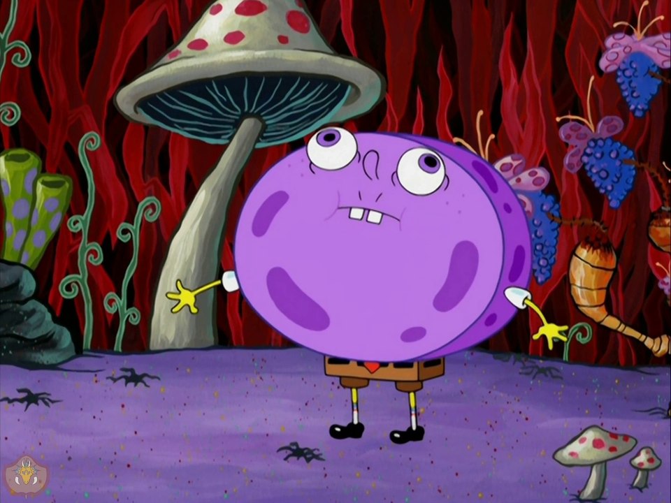 SpongeBob blueberry inflation - video Dailymotion