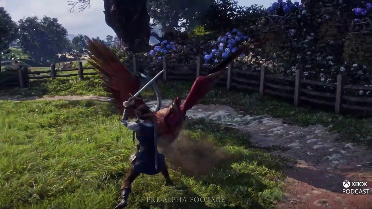 Fable Pre-Alpha Gameplay - video Dailymotion