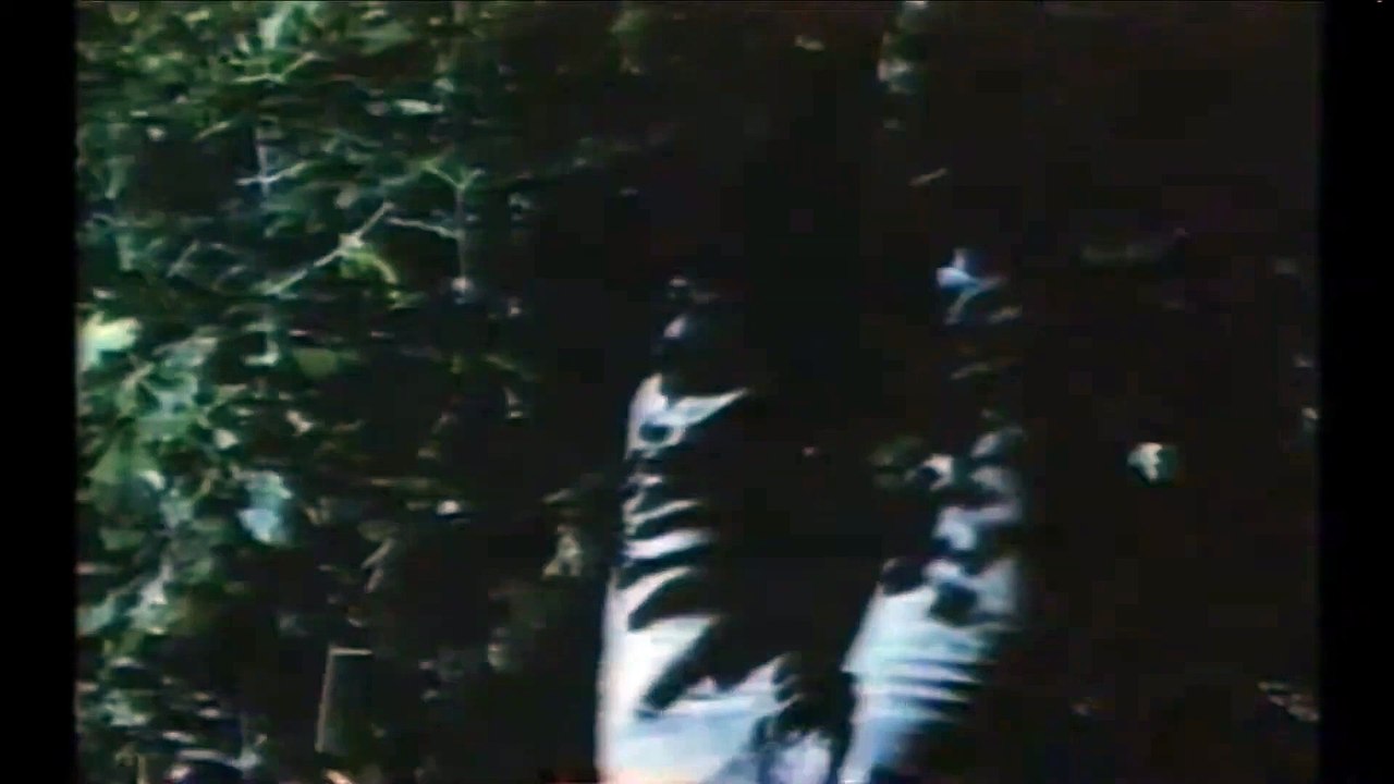 Terror sin límite (Absurd) | movie | 1981 | Official Trailer - video ...