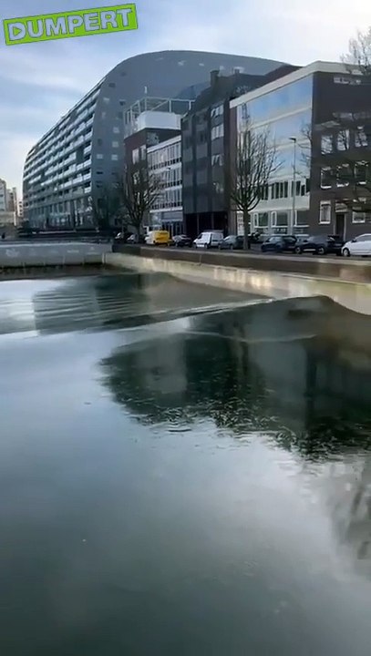 A real ice breaker - video Dailymotion