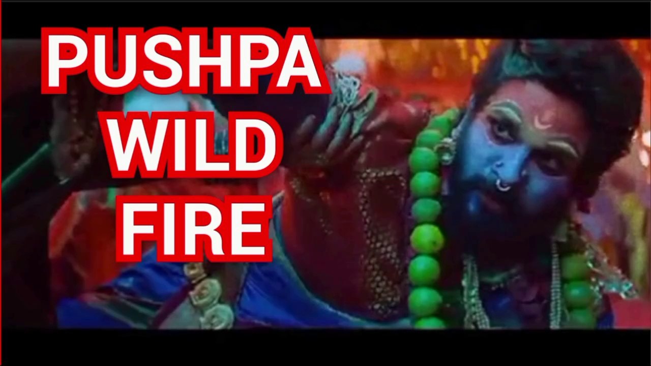 Pushpa-wild fire | pushpa2 | Sreeleela | rashmika | shikhawat ...