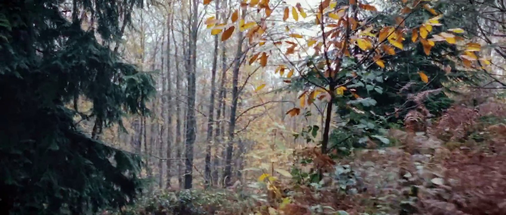 Haywire | English Full Movie | War | Full Action Thriller - video ...