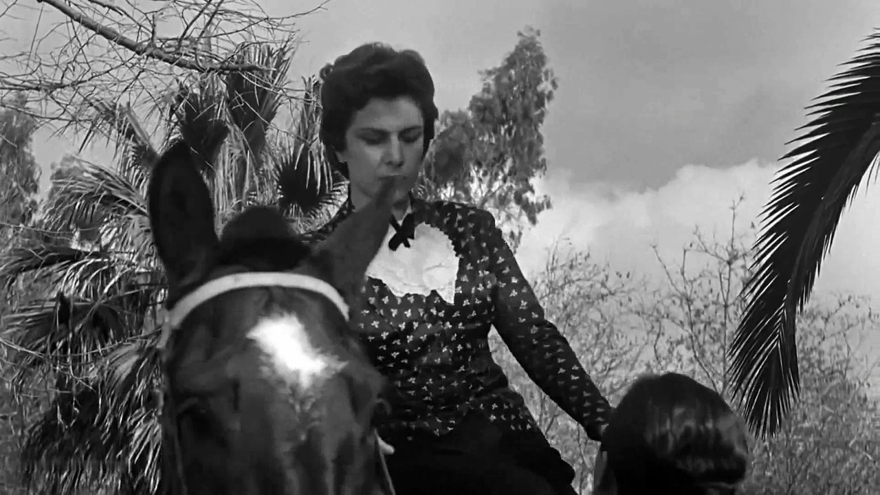 ΤΟ ΟΡΓΑΝΑΚΙ ΤΟΥ ΑΤΤΙΚ - video Dailymotion