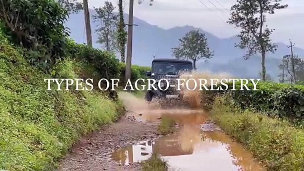 Agro Forestry || Forms of Forestry. #forest #nature #viral shot ...