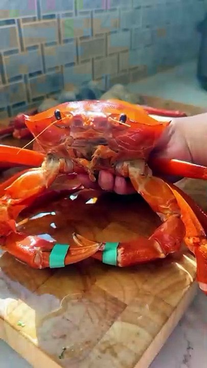 Crabzilla Feast: Cooking a Huge Crab in the Wilderness! 🦀🌳 - Video ...