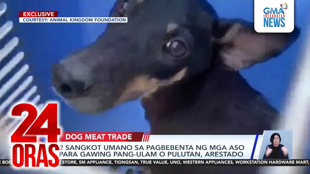 2 sangkot umano sa pagbebenta ng mga aso para gawing pang-ulam o ...