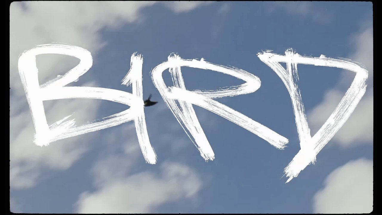 Bird | movie | 2024 | Official Teaser - video Dailymotion