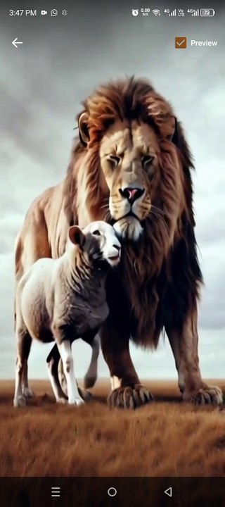 Dangerous Loin - video Dailymotion