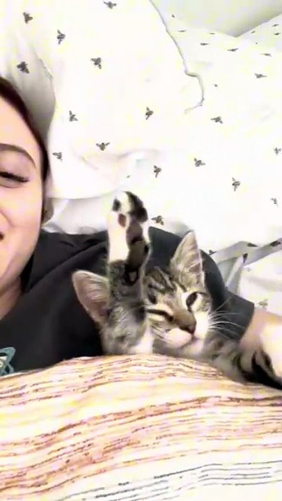 Morning routine - video Dailymotion