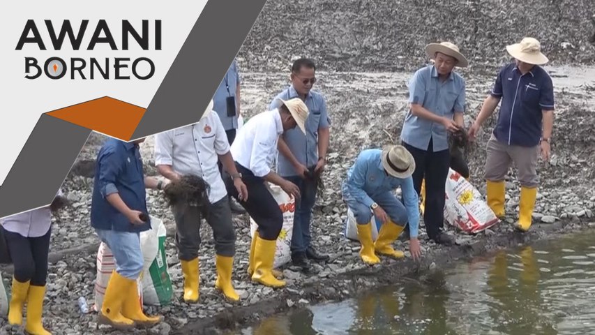 Sarawak sokong syarikat penternakan udang patuhi ESG | Astro Awani