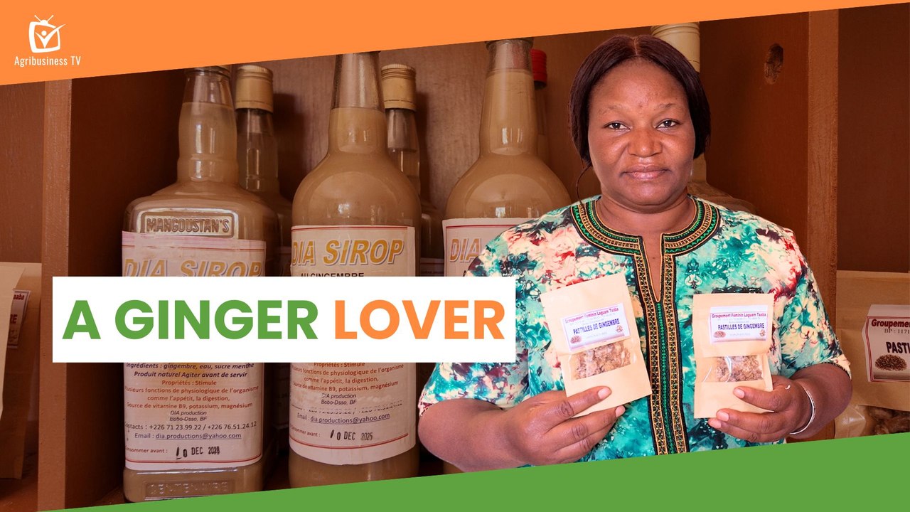 Burkina Faso: A ginger lover - Vidéo Dailymotion