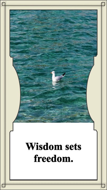 Wisdom - video Dailymotion