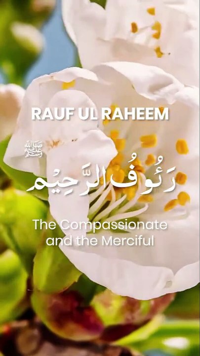 Asma ul Nabi | Names of Prophet Muhammad SAW - video Dailymotion