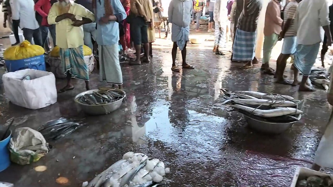 Exploring an Indian Sea Fish Market | Fresh Seafood by the Indian Ocean ...