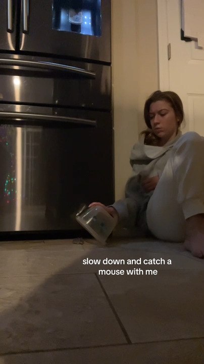 Woman Catches Mouse Using Box - video Dailymotion
